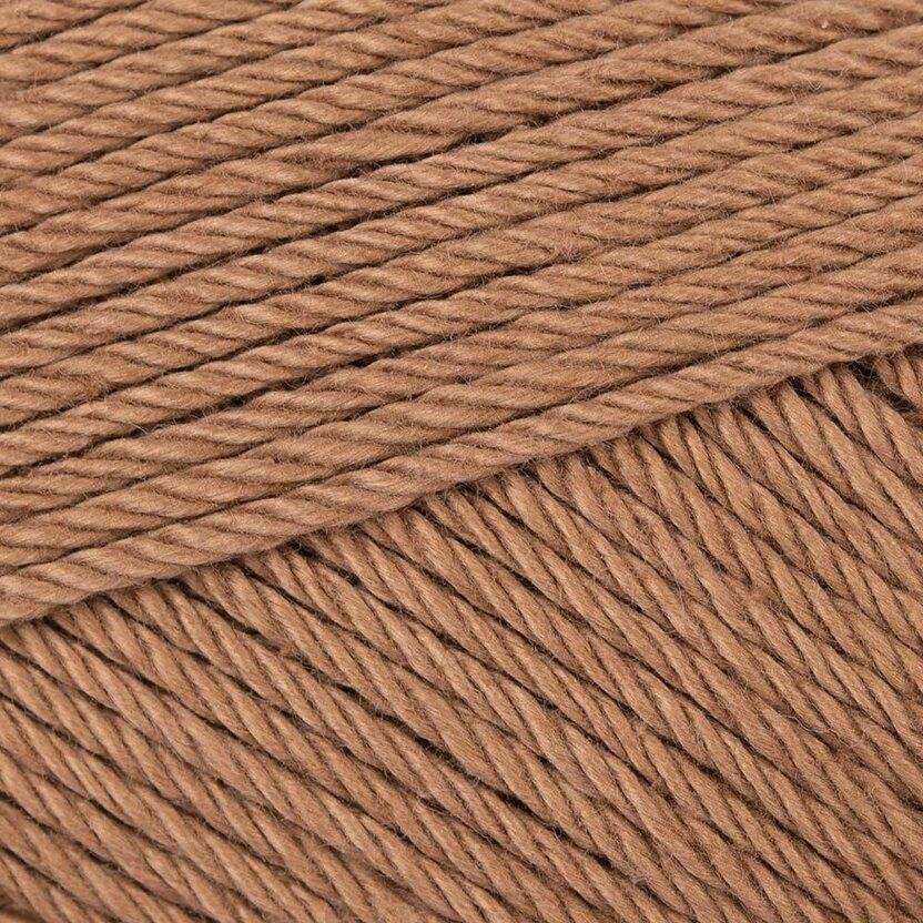 hazelnut 503 — HobbyJobby